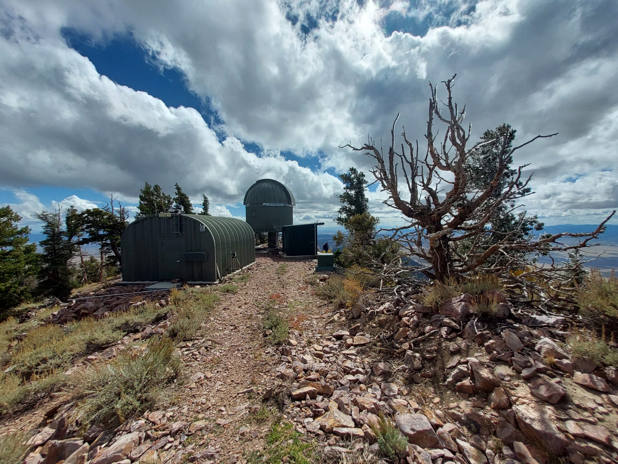 The Demonstrator – Trinity